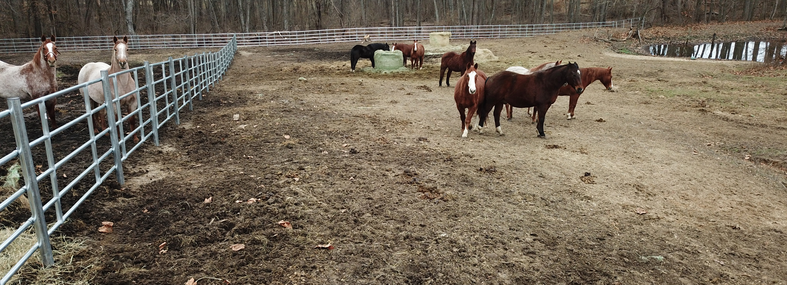 Continuous Fence Panels, Farm Gates, Rodeo and Riding Arenas | Midwest ...